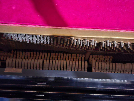 Pianino lastochka srochna sotiladi guliston