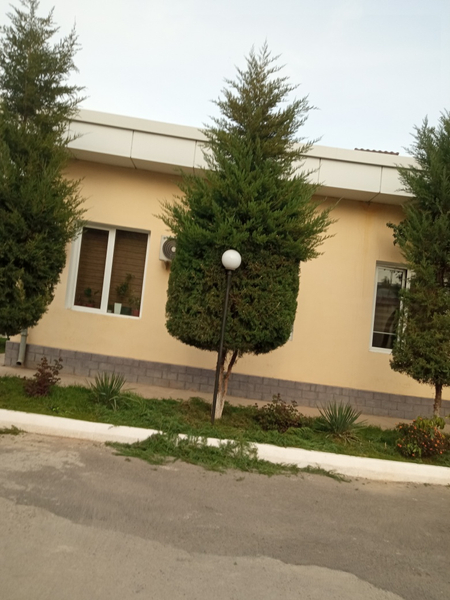 Арчага шакл бериш хизмати