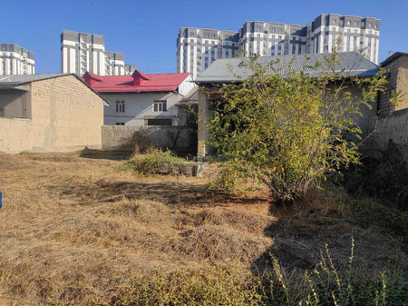 № 1820 Хавли площадью 6 соток по адресу: Племсовхоз