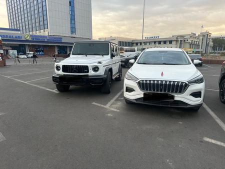 Hongqi. Medel E-hs3