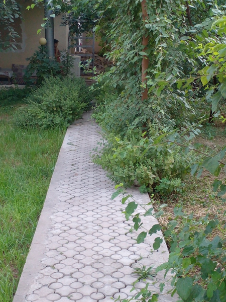 Дача аренда. 4 комната