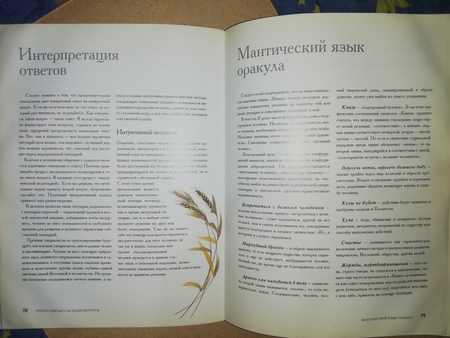 Книга перемен Лилиан Ту