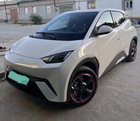 Диска балон R 16 BYD Seagull