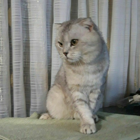 Вязка                      .