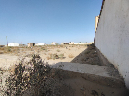 Bush uchastka sotiladi