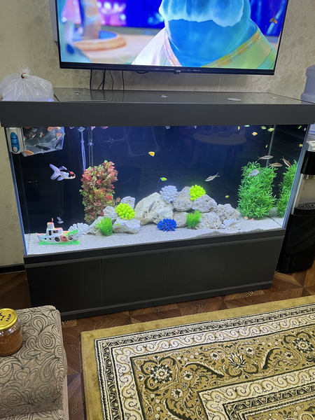 Akvarium Sifat-narx dan ustun