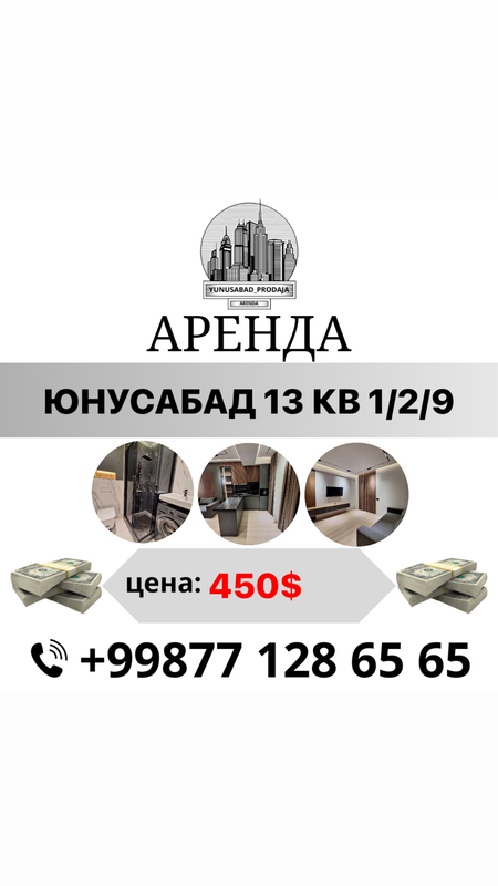 Аренда квартиры 13 кв 1/2/9