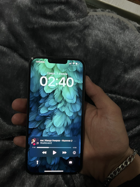 Iphone 13 pro max