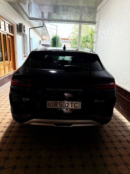 Byd champion electric 2024