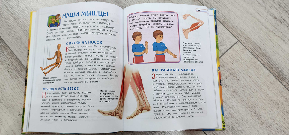 Книга Большая энциклопедия для детского сада