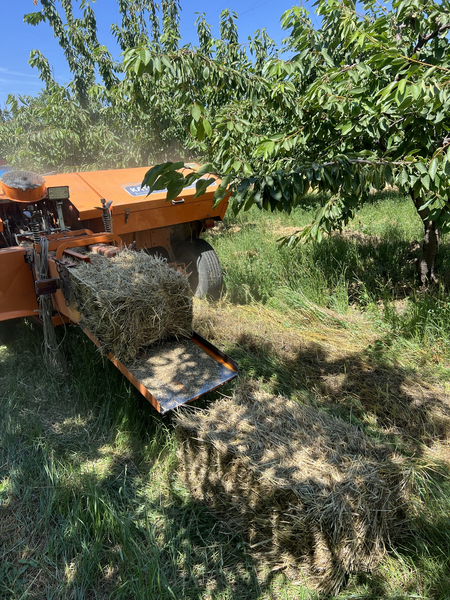 Beda press 1- o’rim aralash qoy,mol,ot