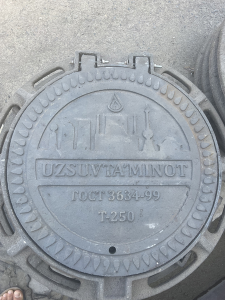 Чугуни лук замокли
