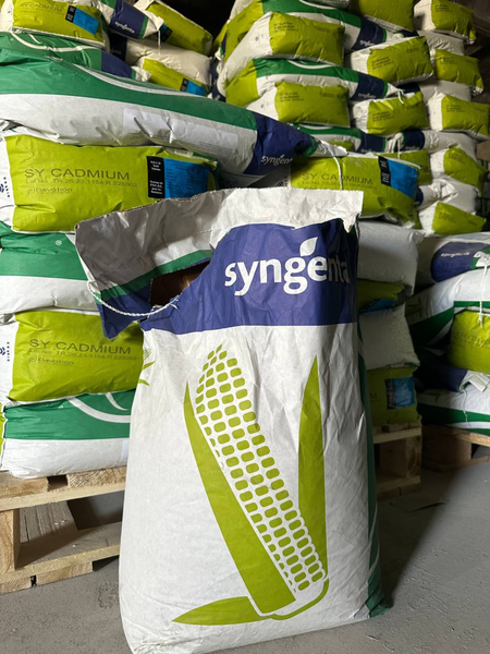 Семена кукурузы Syngenta, Syngentaning makkajo'xori urug'lari