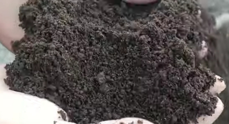 Biogumus sotiladi 1200 soʻm