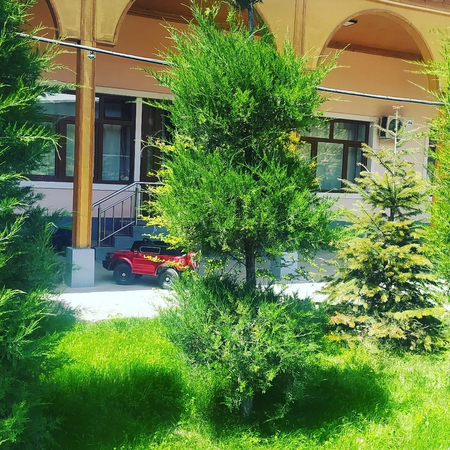 Archa ,shamshod , kesish dorilash gazon ekish o'rish  xizmati