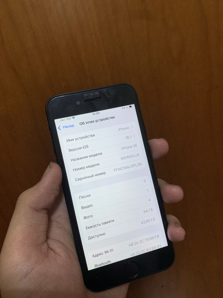 Iphone se LL/a ochlmagan 81% radnoy tinu