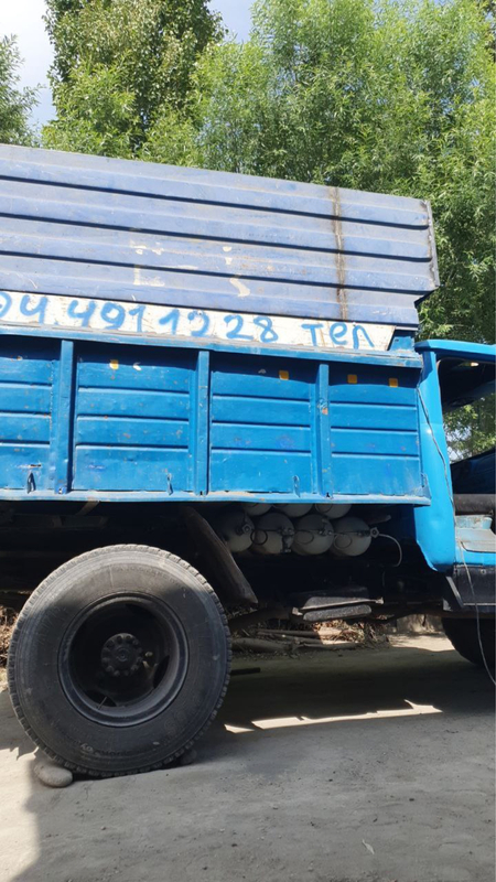 Газел йили 84