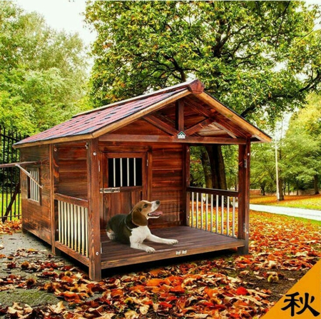 Эксклюзивные будки для собак