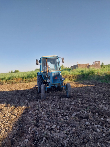 Mtz traktor sotiladi holi yaxshi