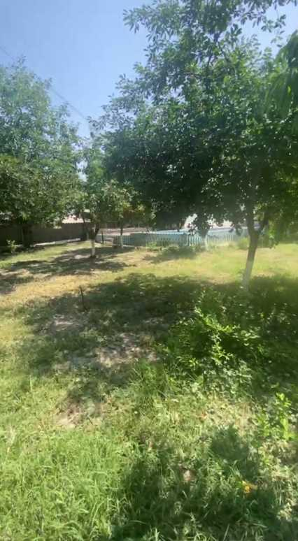 Загородный дом, дача с садом и всеми удобсивами