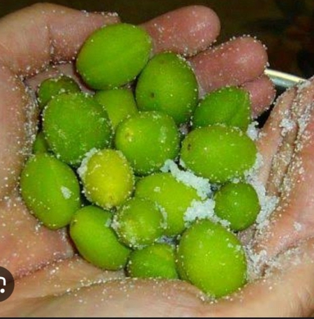 Довча ва куксултонлар