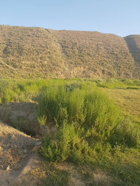Tayyor biznes gʼish quyish uchun maydon va uskunalar