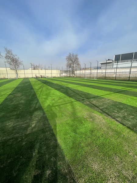 Mini stadion ijaraga beriladi 200.000