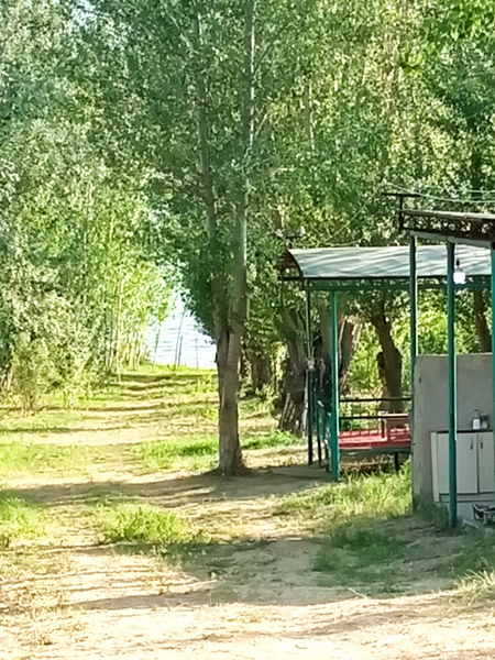 Тихий отдых на берегу чарвака
