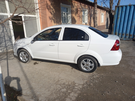Nexia3 Horati alo