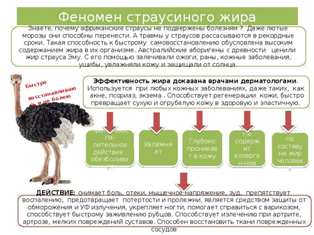 Туякуш ёги жир страуса Tuyaqush straus