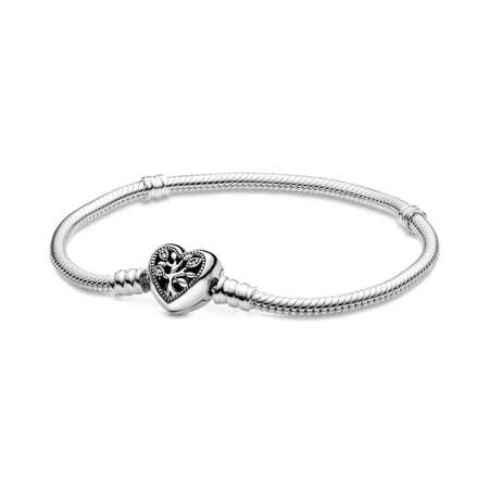 Pandora moments bracelet