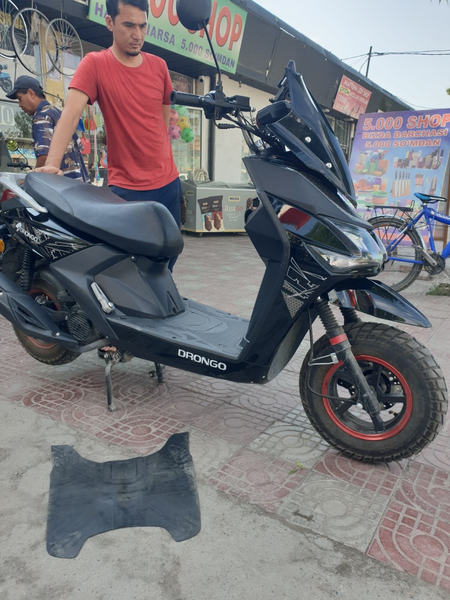 Drongo ninja 2024
