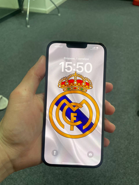 Iphone 13 pro max 256 gb