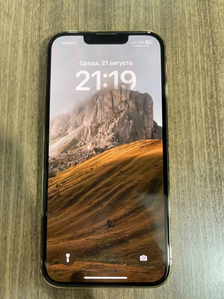Iphone 13 Pro Max Sotiladi