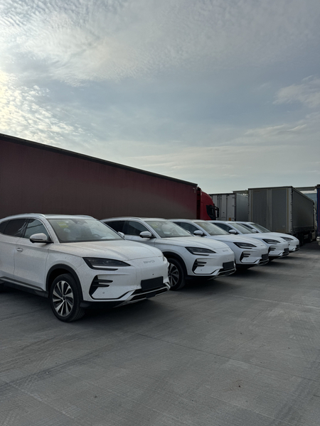 Byd chempion 605km  2024