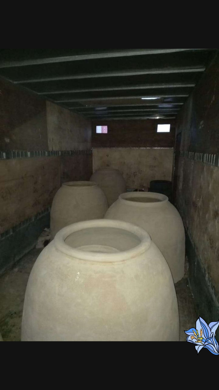 tandir sotamiz zakaz5noy