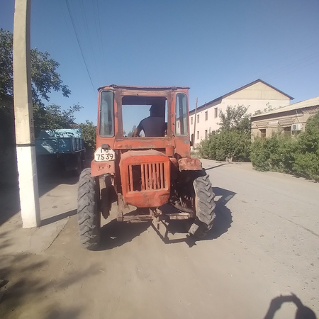 T 16 mg pagruchik