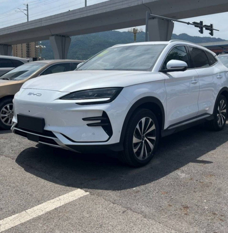 BYD Chempion  xizmati