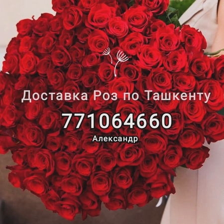 Доставка Роз по Ташкенту. Мега акция    101 до 1001 штуки скидки. 
Пиш