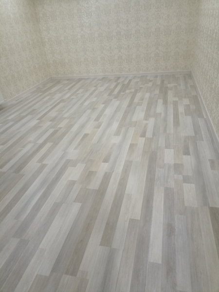 Laminat tarket pol