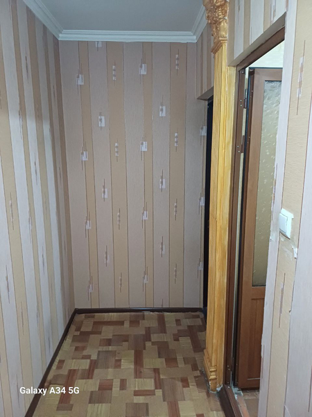 Sotamiz pul zaril kami bor