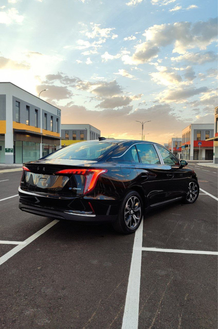 hongqi e-qm5 17.000$