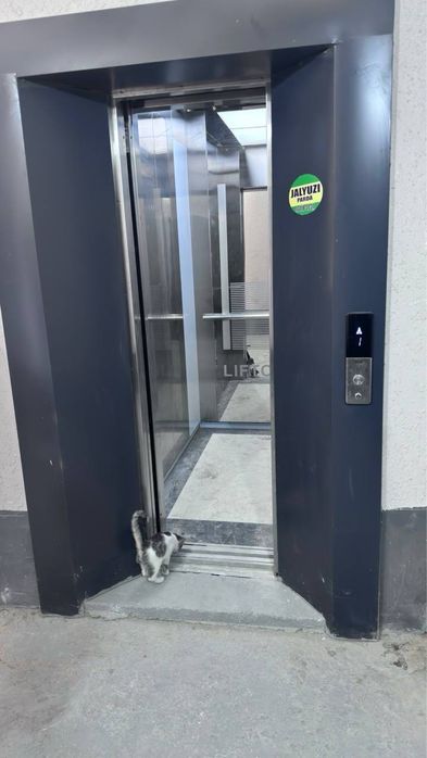 Продаётся квартира 7 и 8-этаж 168кв.м ор: Шарк, Корзинка.