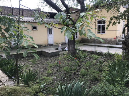 Srochno Hovli Sotiladi Adres: Kaftarxona 65.000$ (kelishamiz)
