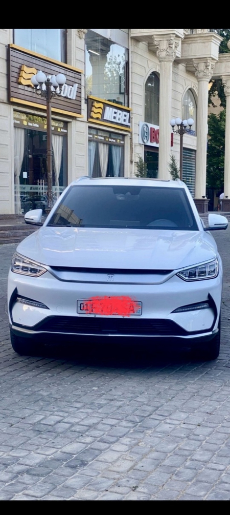 Byd song plus 2023 yil tozza