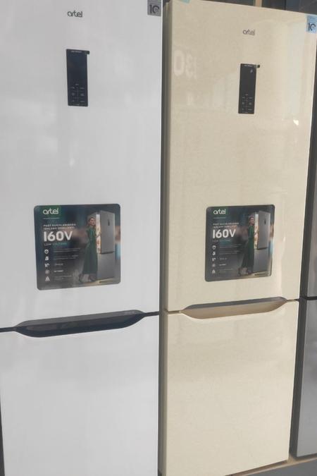 455  No Frost INVERTER