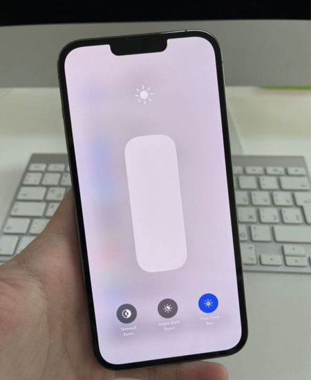 iPhone 13 Pro Max 256 Gb