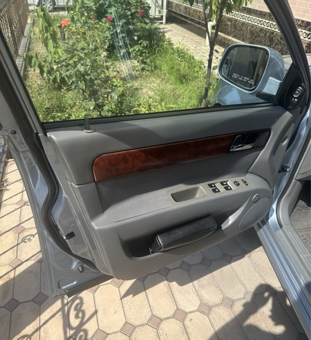 lasettiy dilfin rang sotiladi