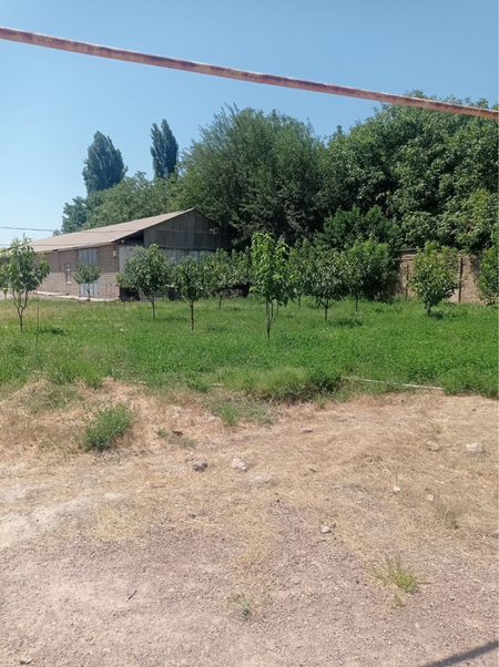 Toshkent viloyat nurafshonda joy sotiladi umumiy maydon 1,69 gektar