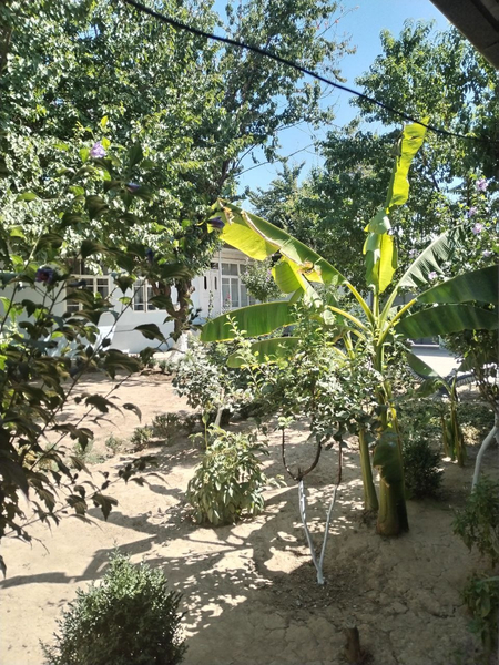 Xasanbohda yer sotiladi